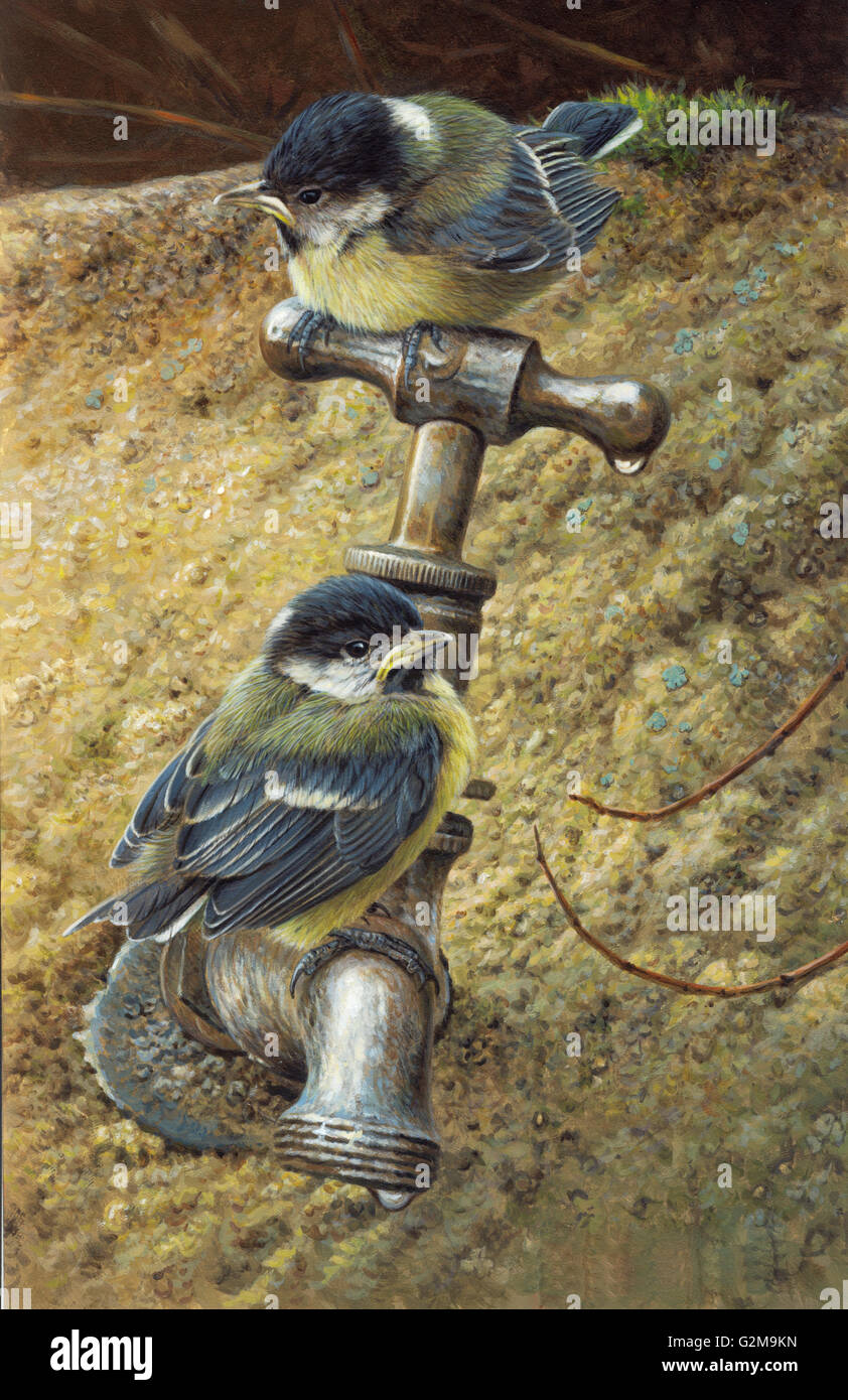 Two chickadees hi-res stock photography and images - Alamy