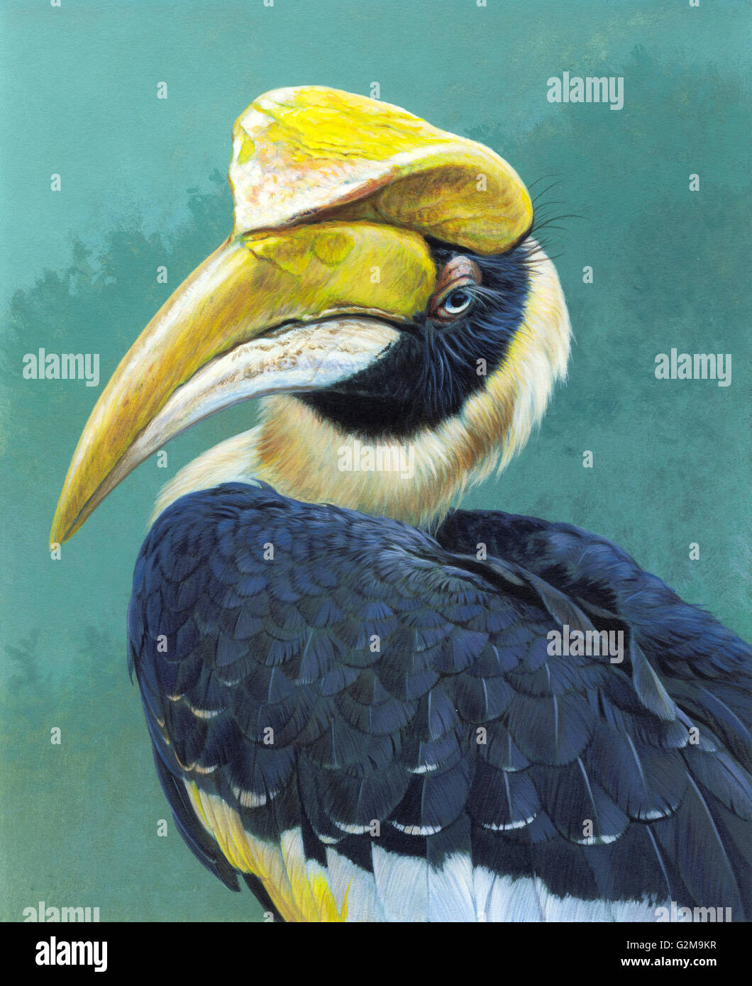 Black and yellow beak hi-res stock photography and images - Alamy