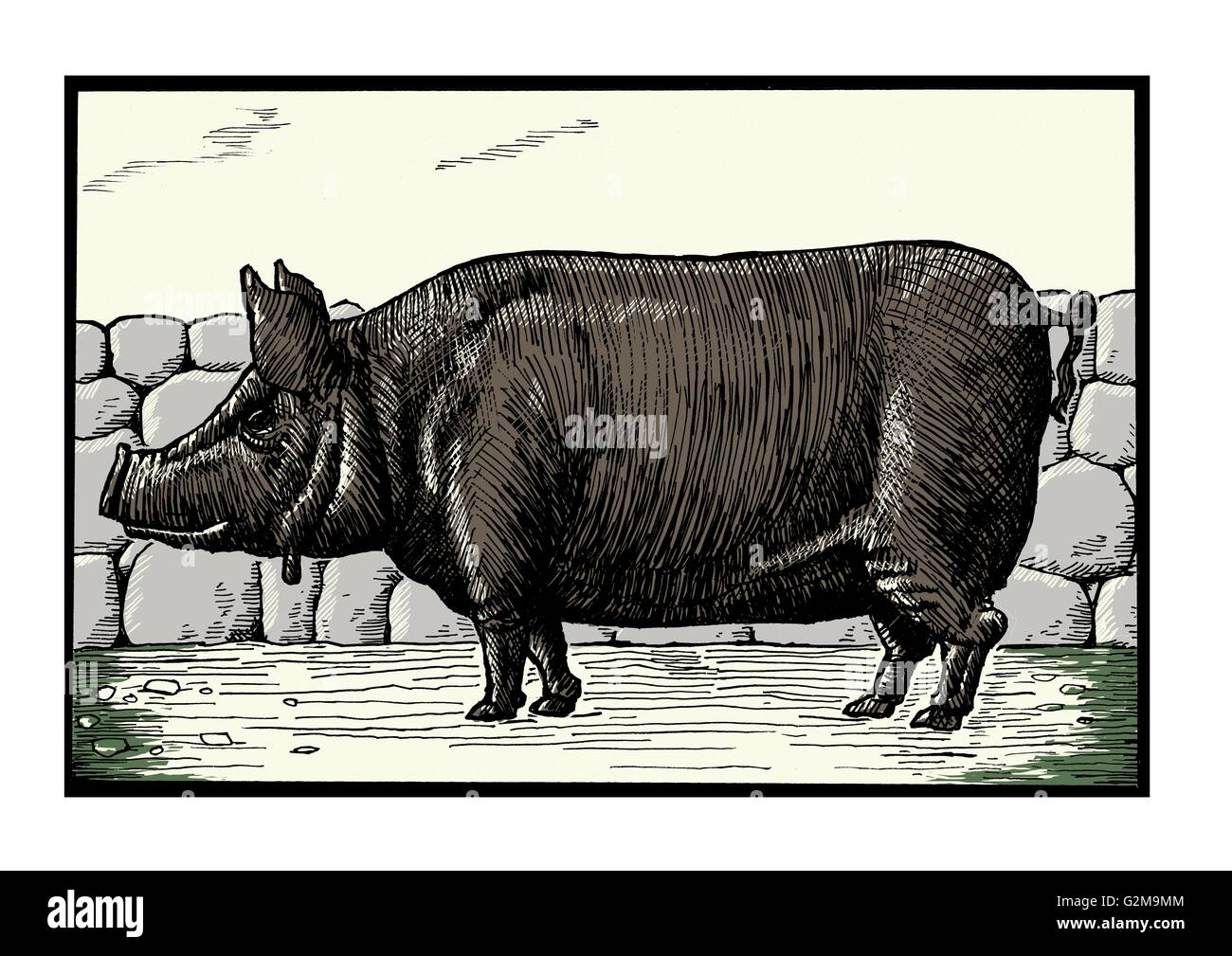 Wall artists Cut Out Stock Images & Pictures - Alamy