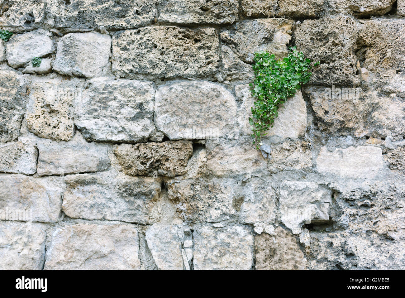 pocketed volcanic tuff rock surface background image Stock Photo - Alamy