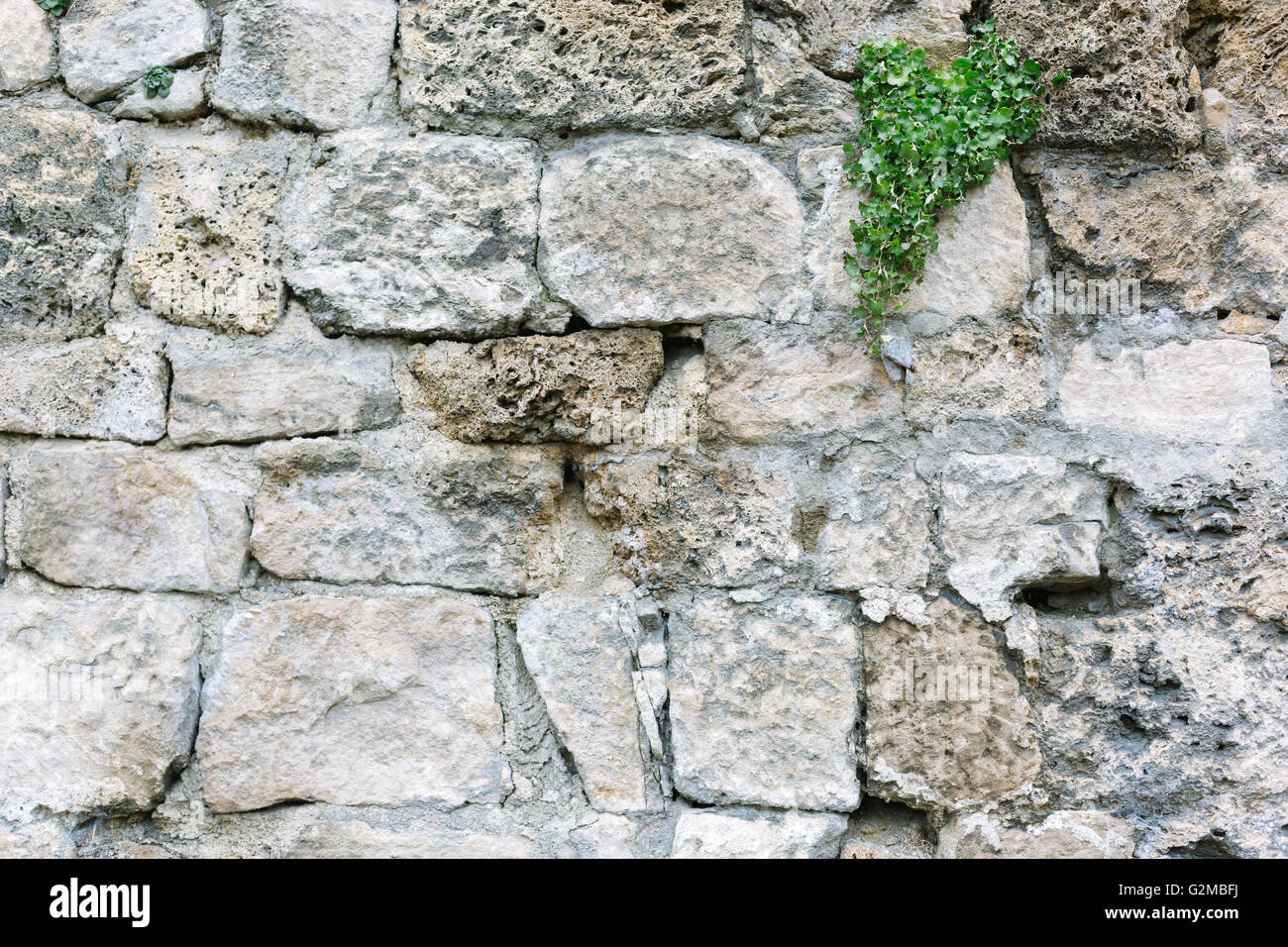 pocketed volcanic tuff rock surface background image Stock Photo - Alamy