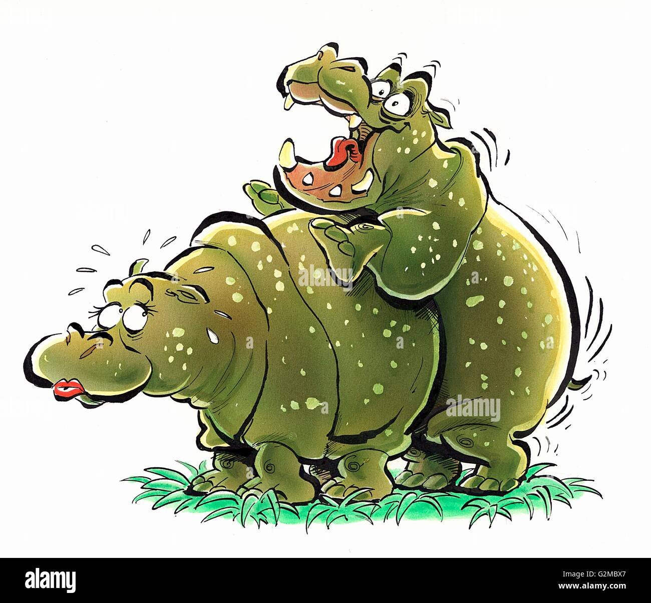 Hippos Mating