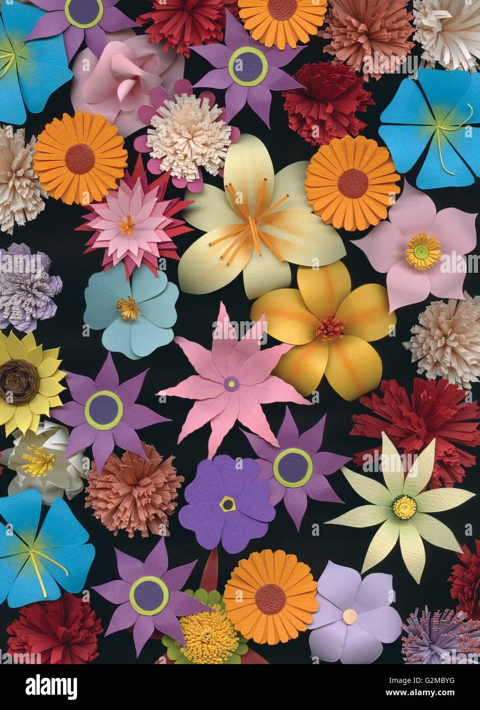 Multi colored flowers hi-res stock photography and images - Alamy