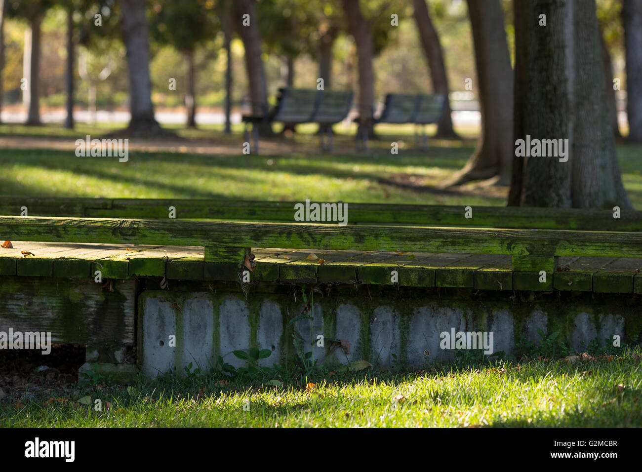 An easy walk at the park Stock Photo - Alamy