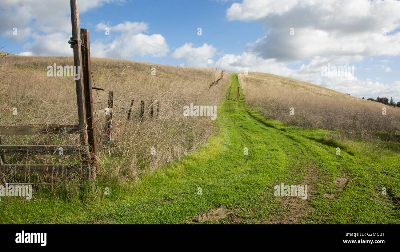 An morning hike, following truck tracks, uphill at a farm Stock Photo ...