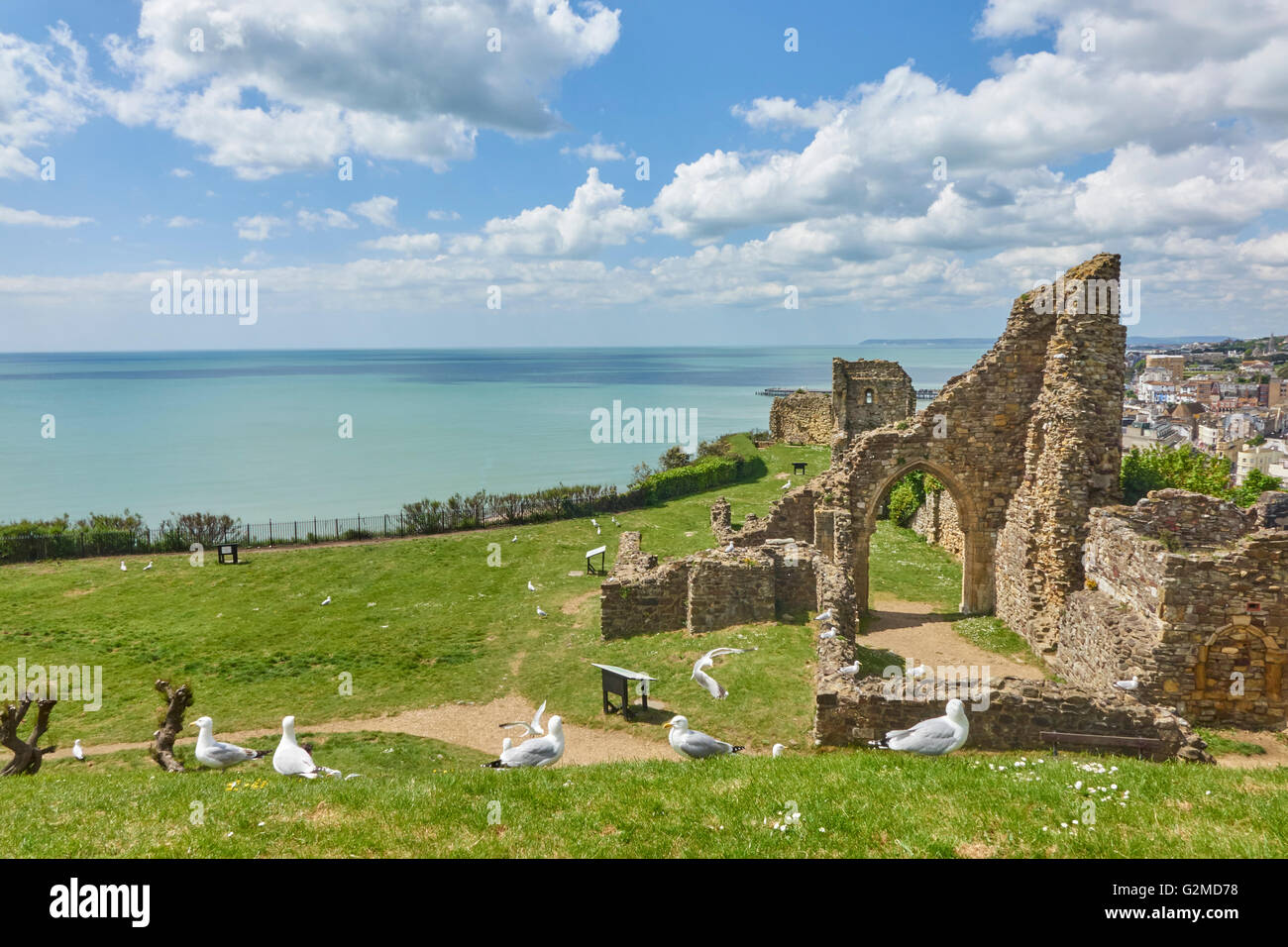 Are Dogs Allowed In Hastings Castle