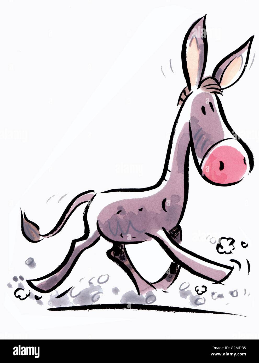 Run with donkeys hi-res stock photography and images - Alamy