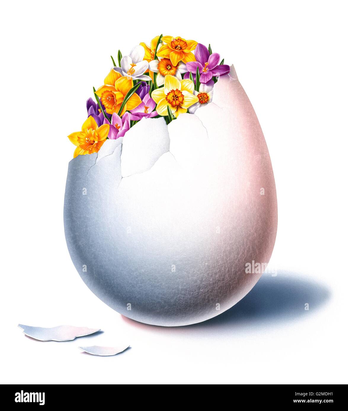 Egg plant art hi-res stock photography and images - Alamy