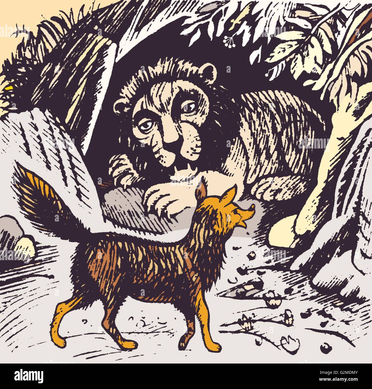 Fox walking past lion's liar Stock Photo - Alamy