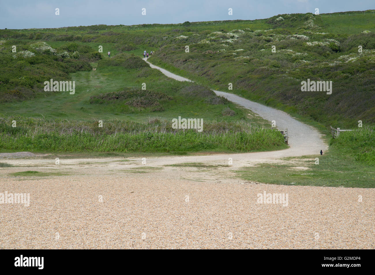 A tarmac path winds away from a stony beach Stock Photo - Alamy