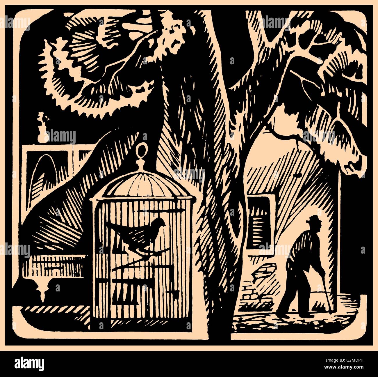 Caged bird on tree in town Stock Photo - Alamy