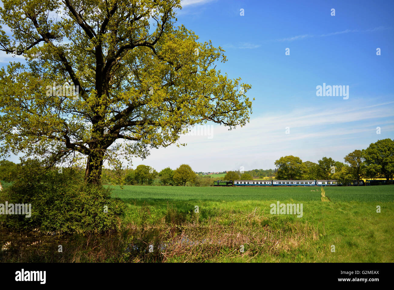 Railway steam gnr locomotive hi-res stock photography and images - Alamy