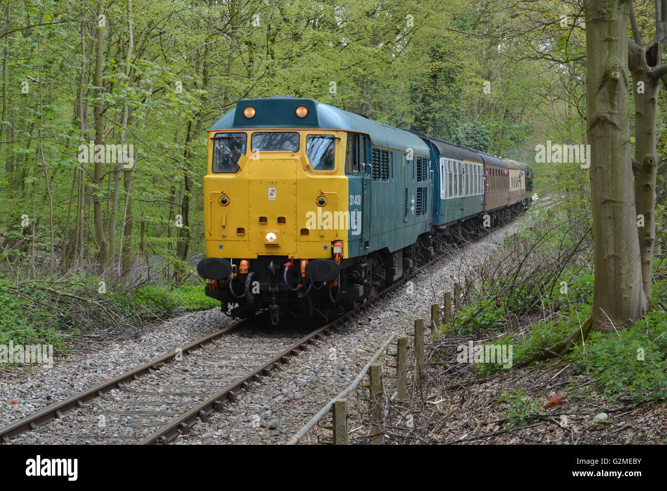 Class 31 31438 (D5557) travels through Epping Forest towards Epping ...