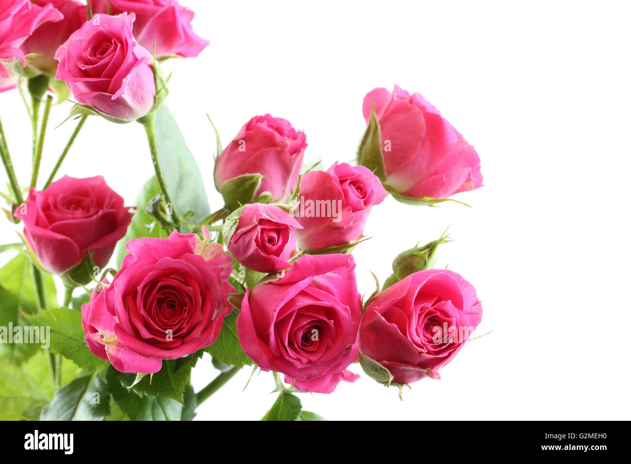 Bouquet of small pink roses isolated on white background Stock Photo ...