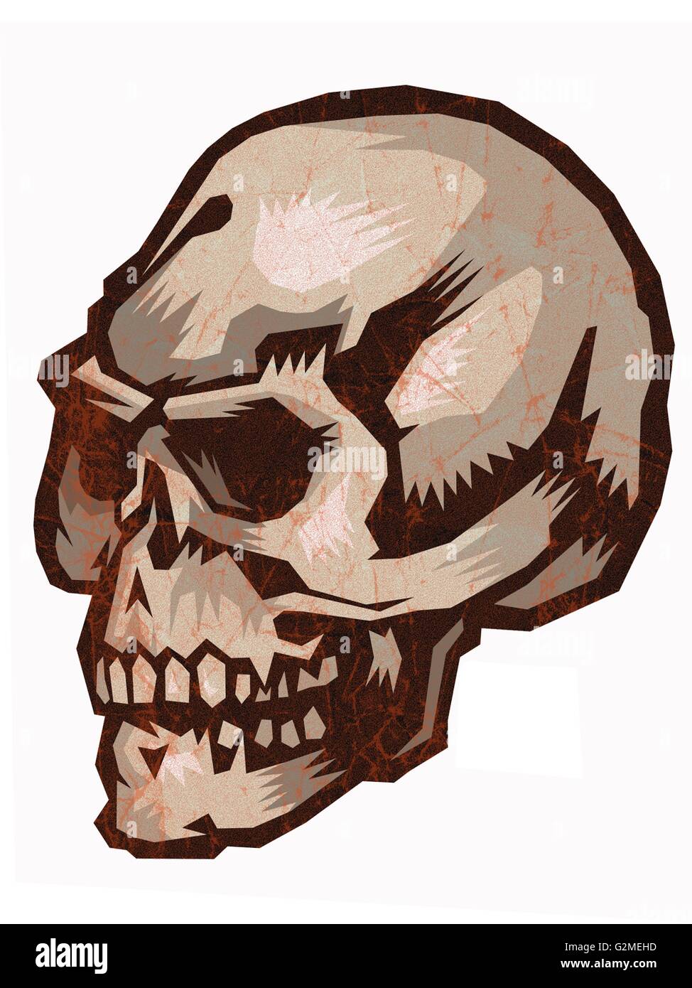 Angry skull on white Stock Photo - Alamy
