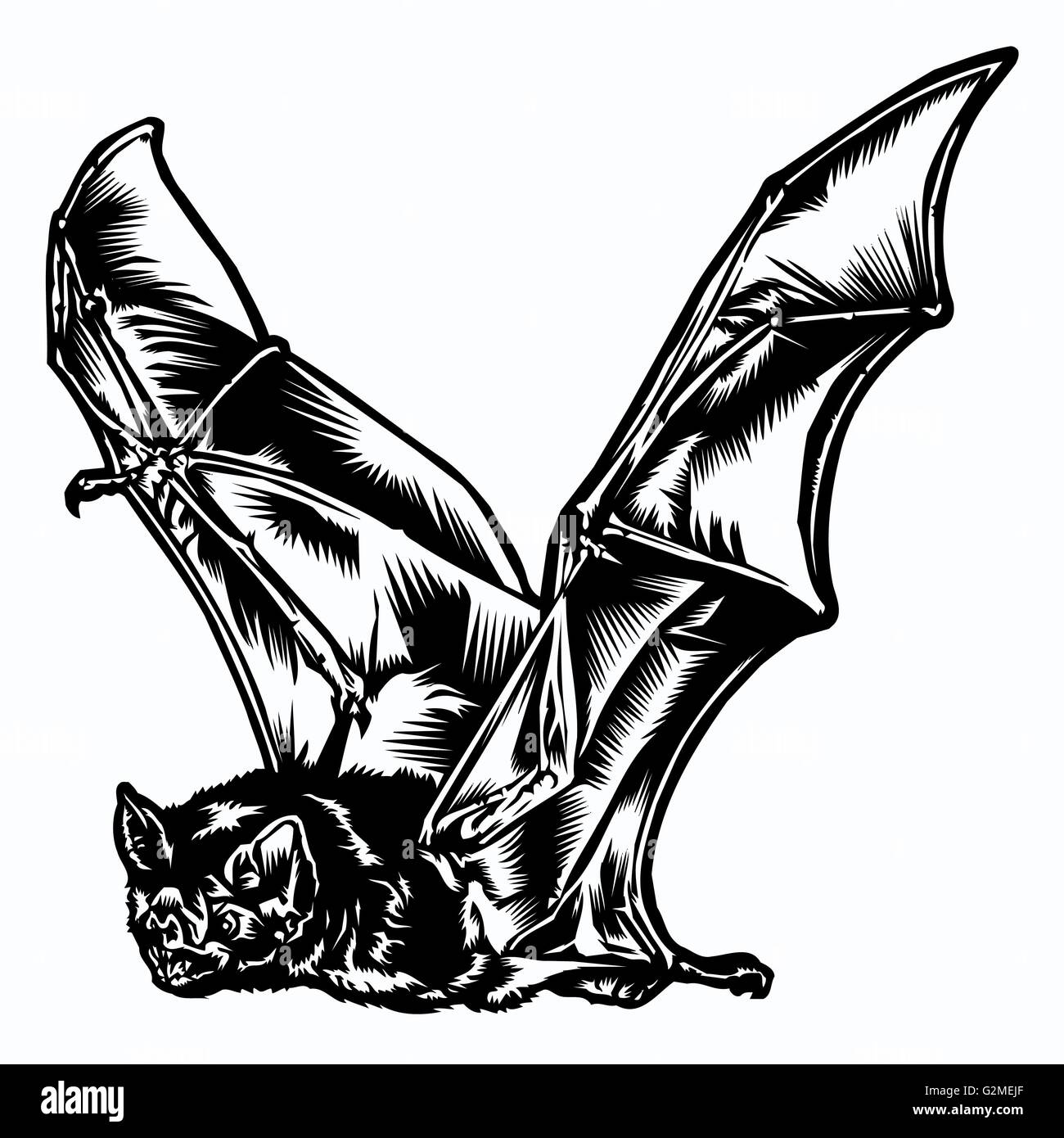 Flying artwork hi-res stock photography and images - Alamy