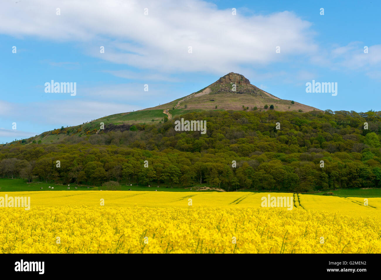 Roseberry Topping in the county of North Yorkshire England Stock Photo ...