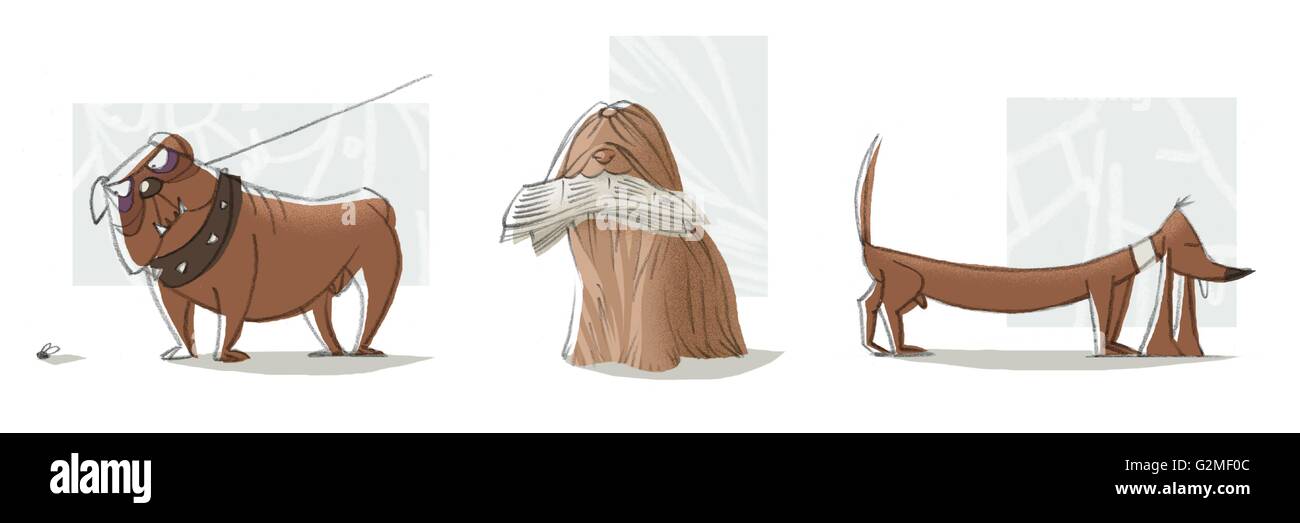 View of three dogs Stock Photo - Alamy