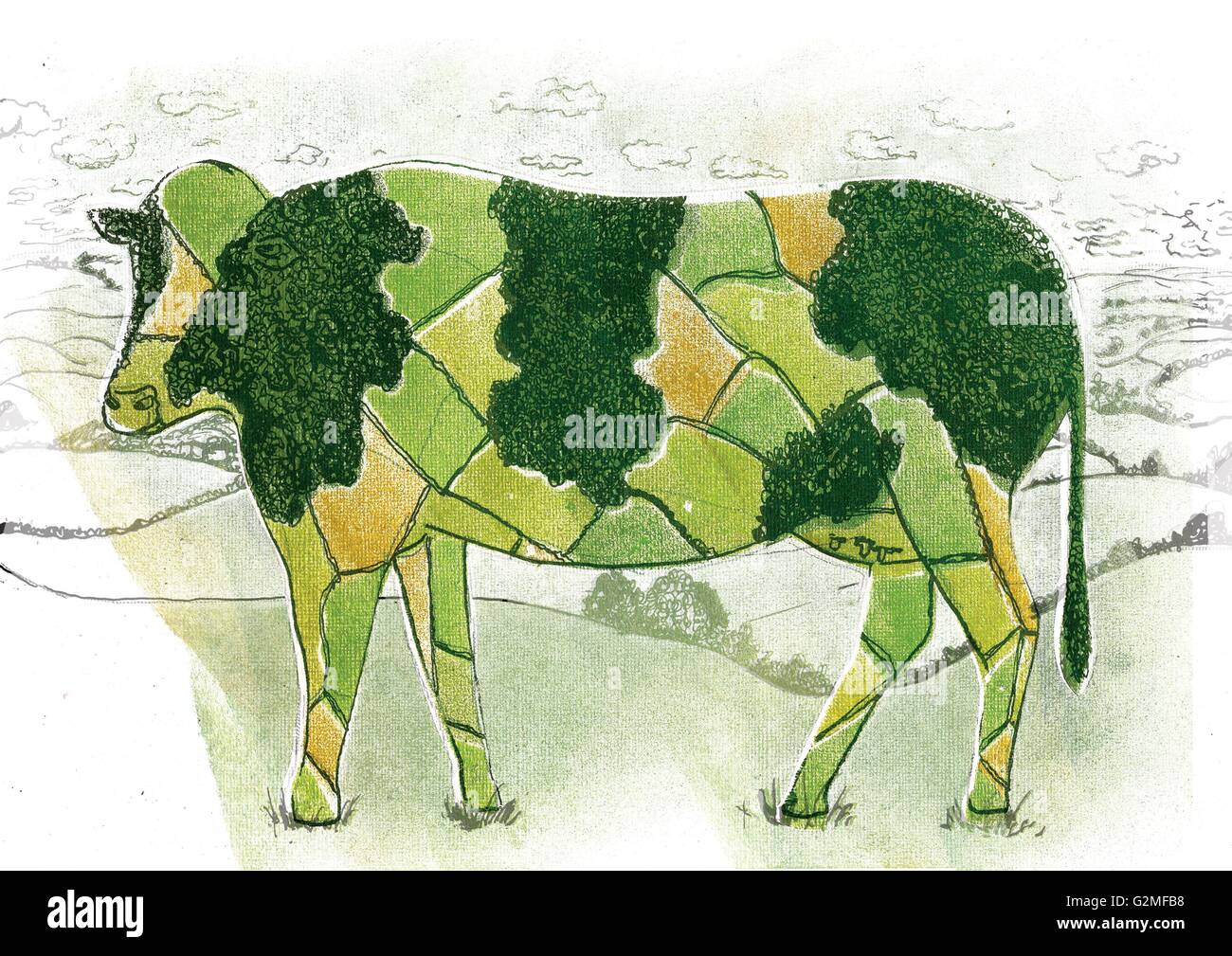 Diagram of cow hi-res stock photography and images - Alamy
