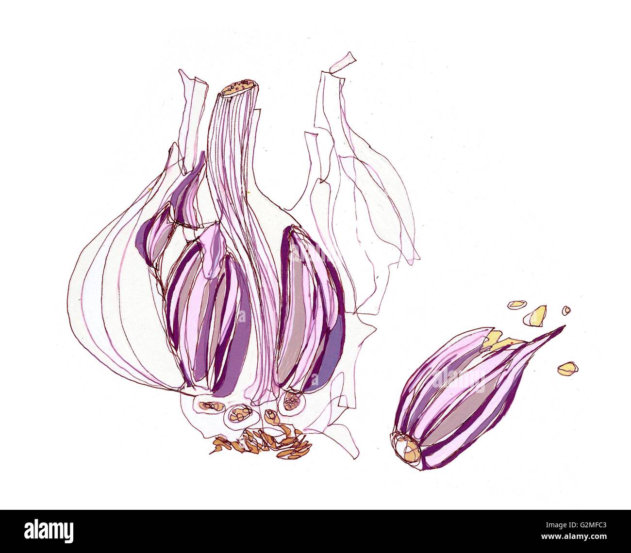 Section drawings Cut Out Stock Images & Pictures - Alamy