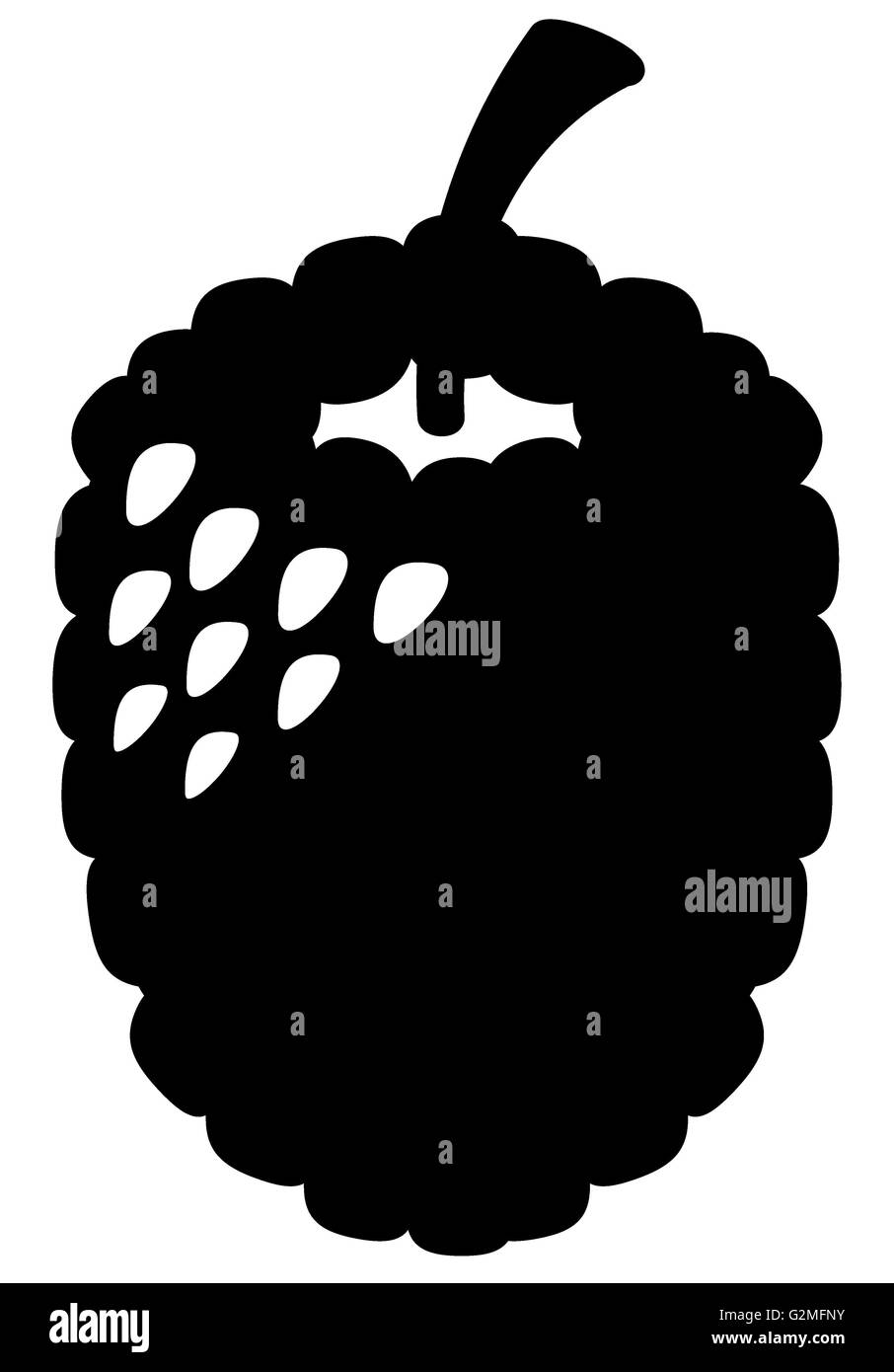 Raspberry illustration Black and White Stock Photos & Images - Alamy