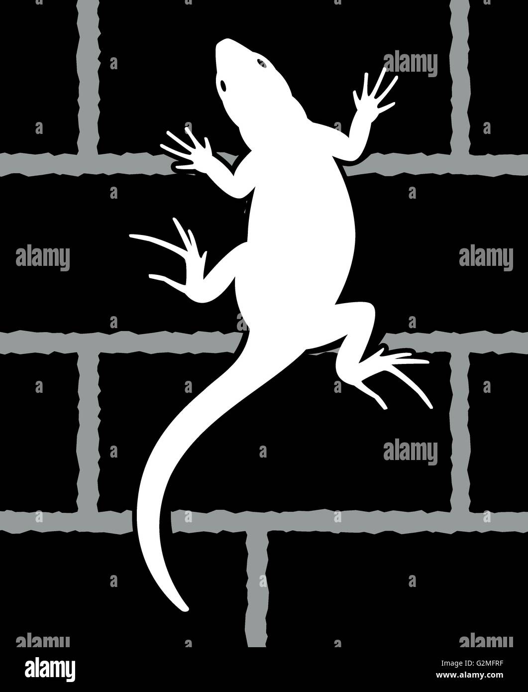 Illustrations lizards hi-res stock photography and images - Alamy