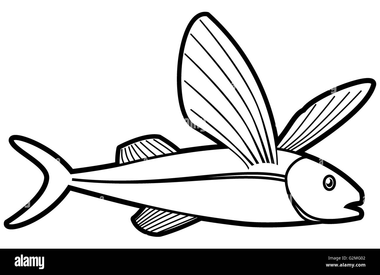 Flying Fish Clip Art