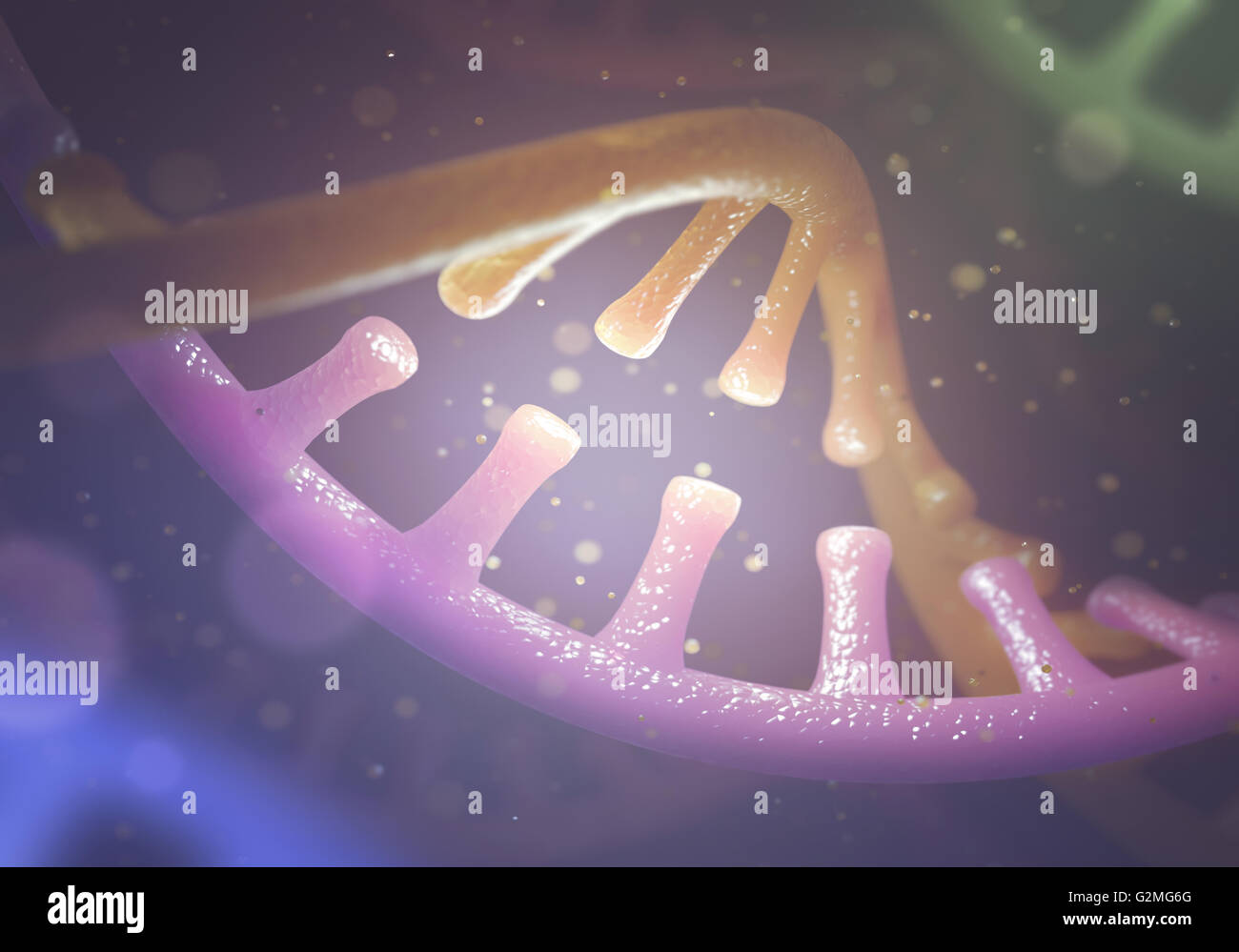 3D image concept of DNA and RNA molecules Stock Photo - Alamy