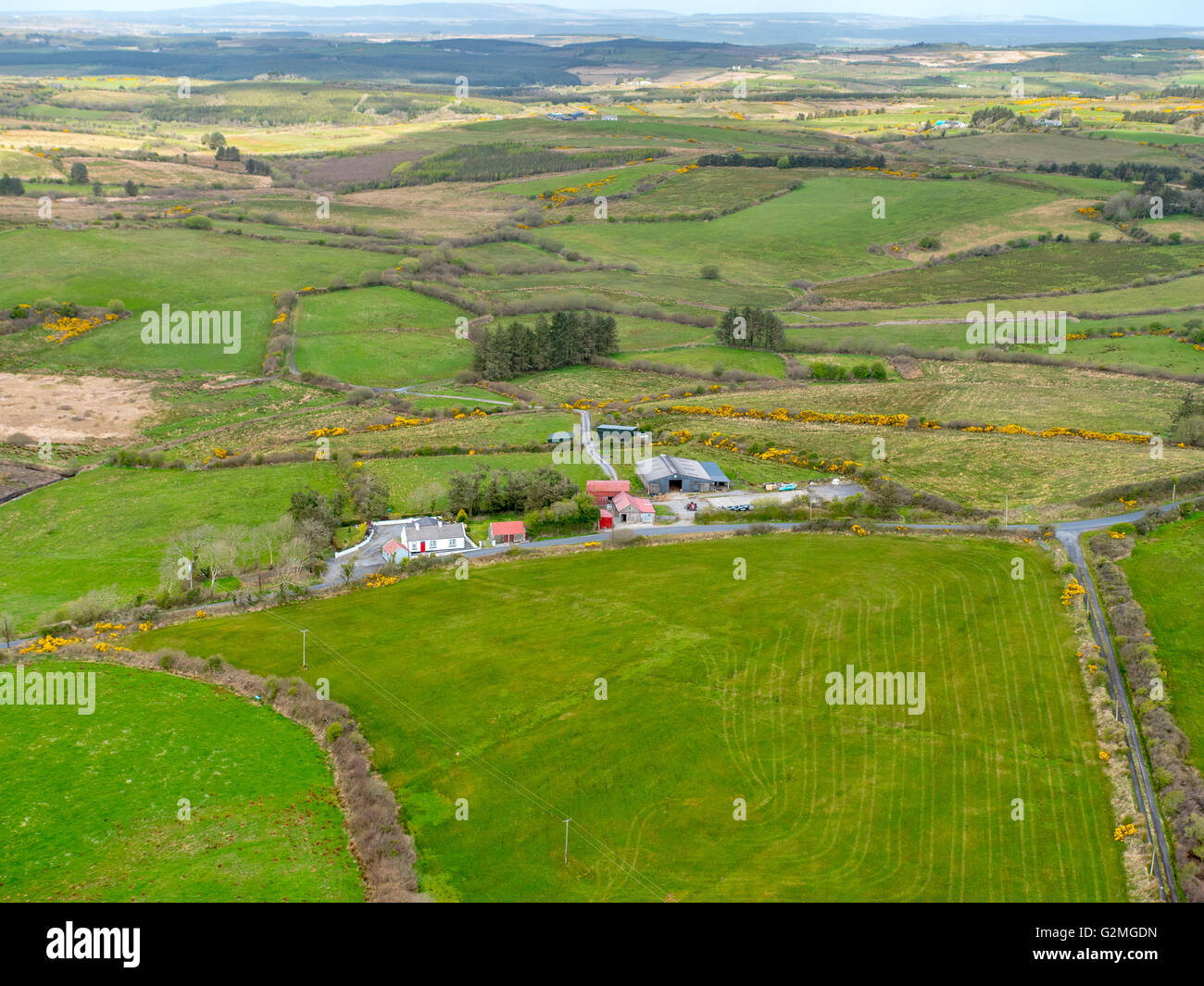 Aerial view, single houses in the countryside, COUNTY CLARE, Clare ...