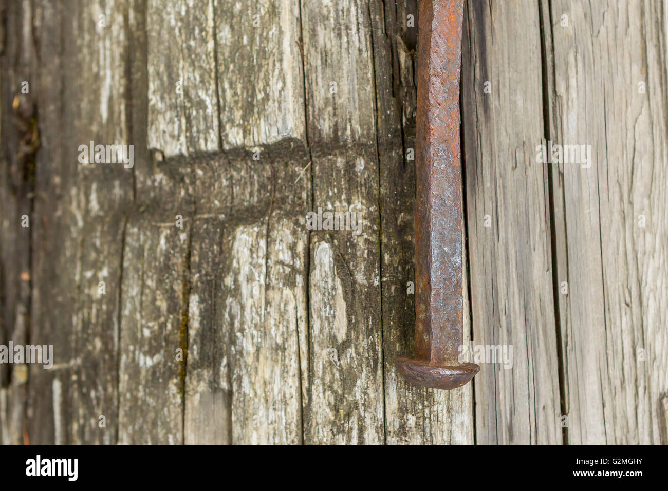 Rusty metal spike in wood Stock Photo - Alamy