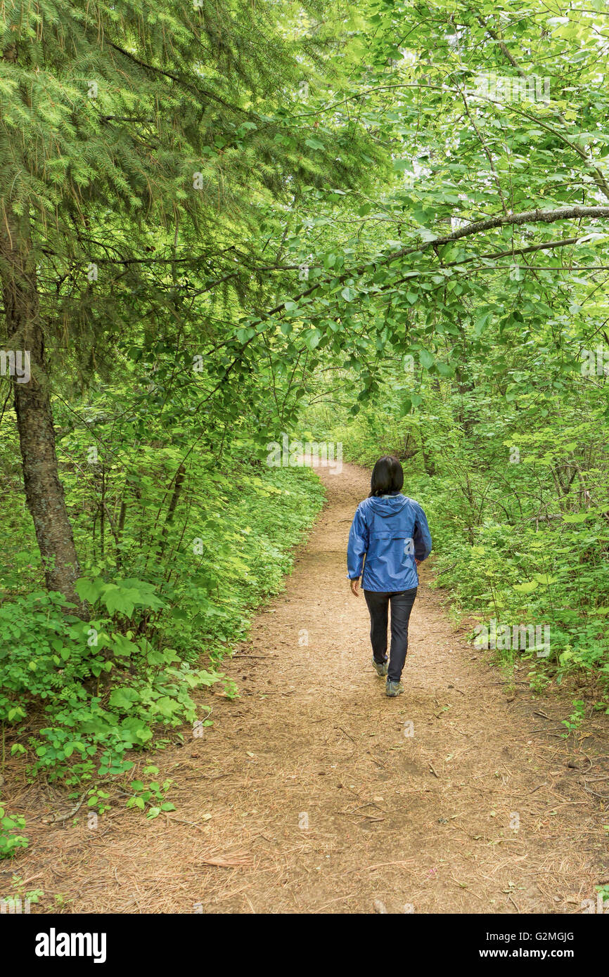 A woman takes a stroll through a path in the woods Stock Photo - Alamy
