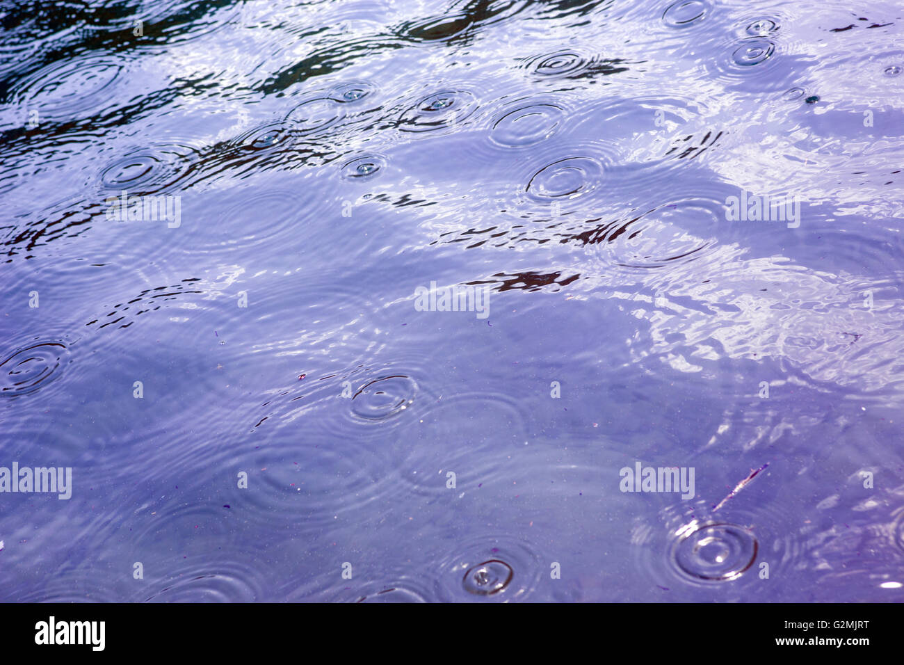 Raindrops on the water Stock Photo - Alamy