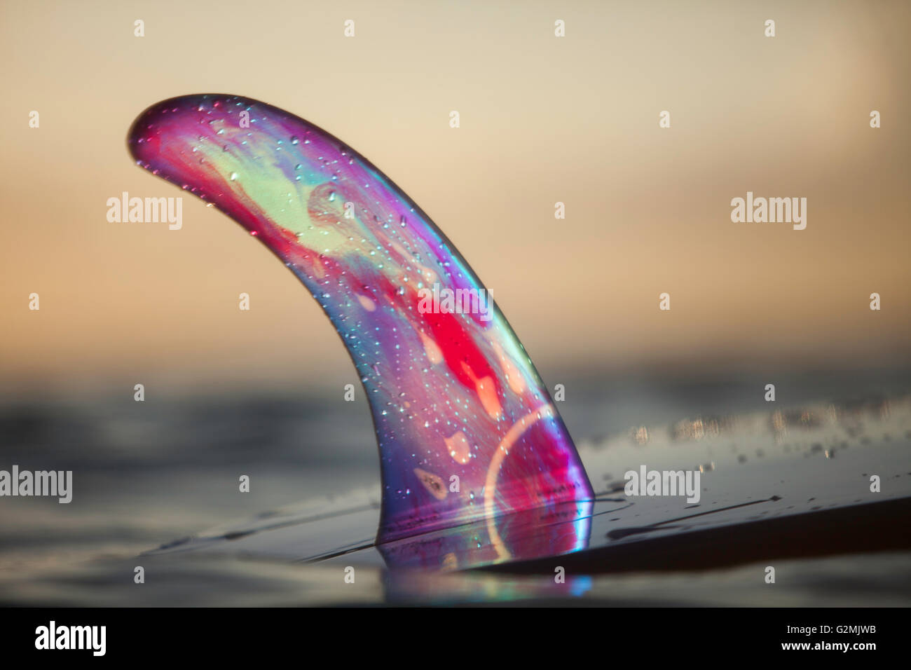 Fin skeg tail control single hi-res stock photography and images - Alamy