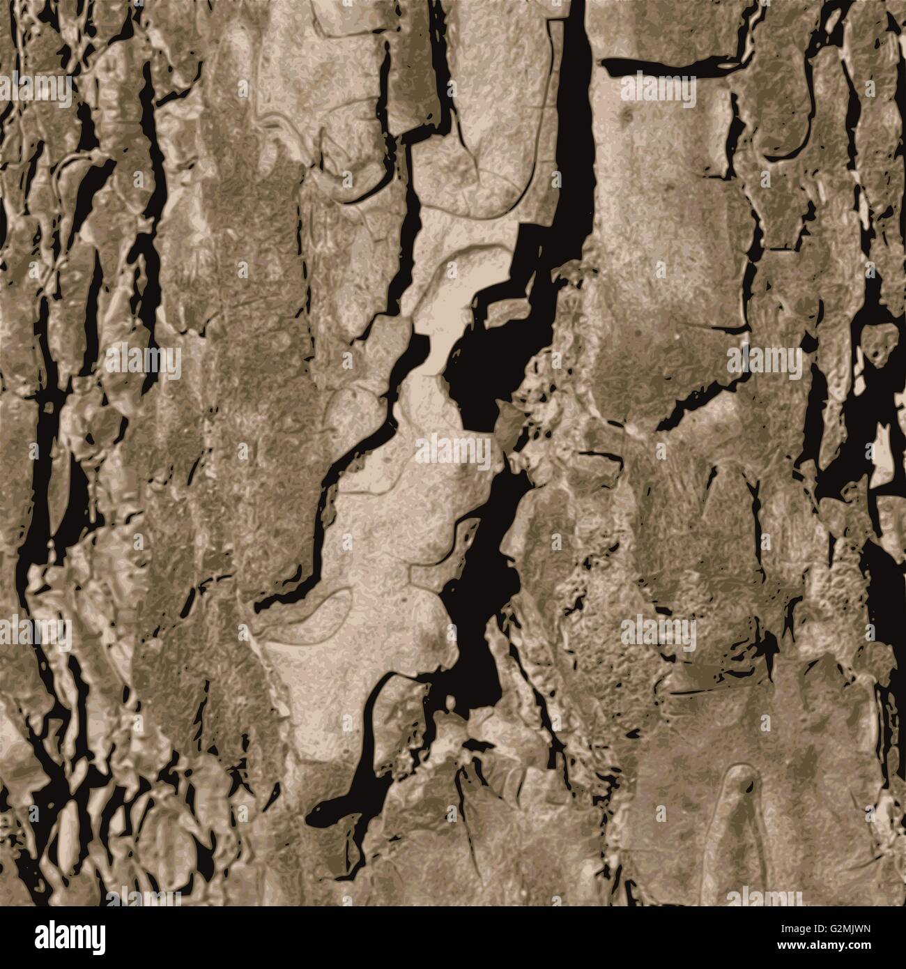 Pine tree bark texture background - vector Stock Vector Image & Art - Alamy