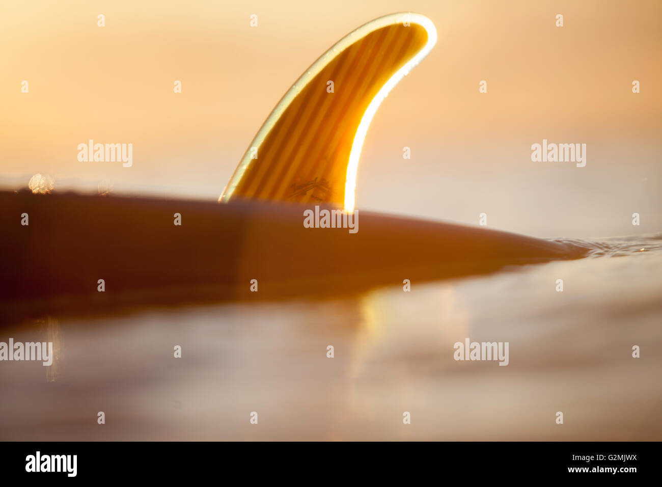 Closeup of Rainbow Fin Company single fin(skeg) on custom Kanaiupuni ...