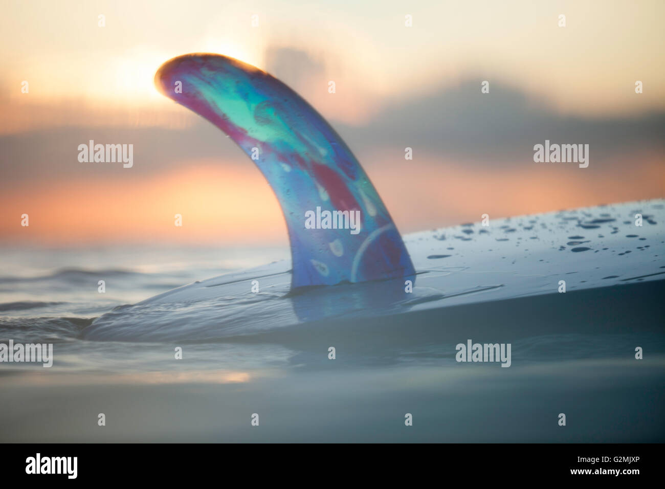 Closeup of Rainbow Fin Company single fin(skeg) on custom Kanaiupuni ...