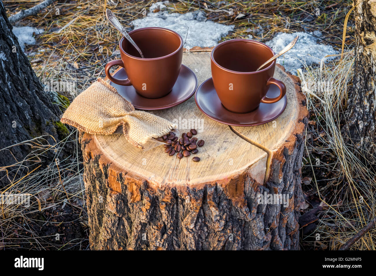 Two cups of coffee on stump on background of a winter landscape Stock ...