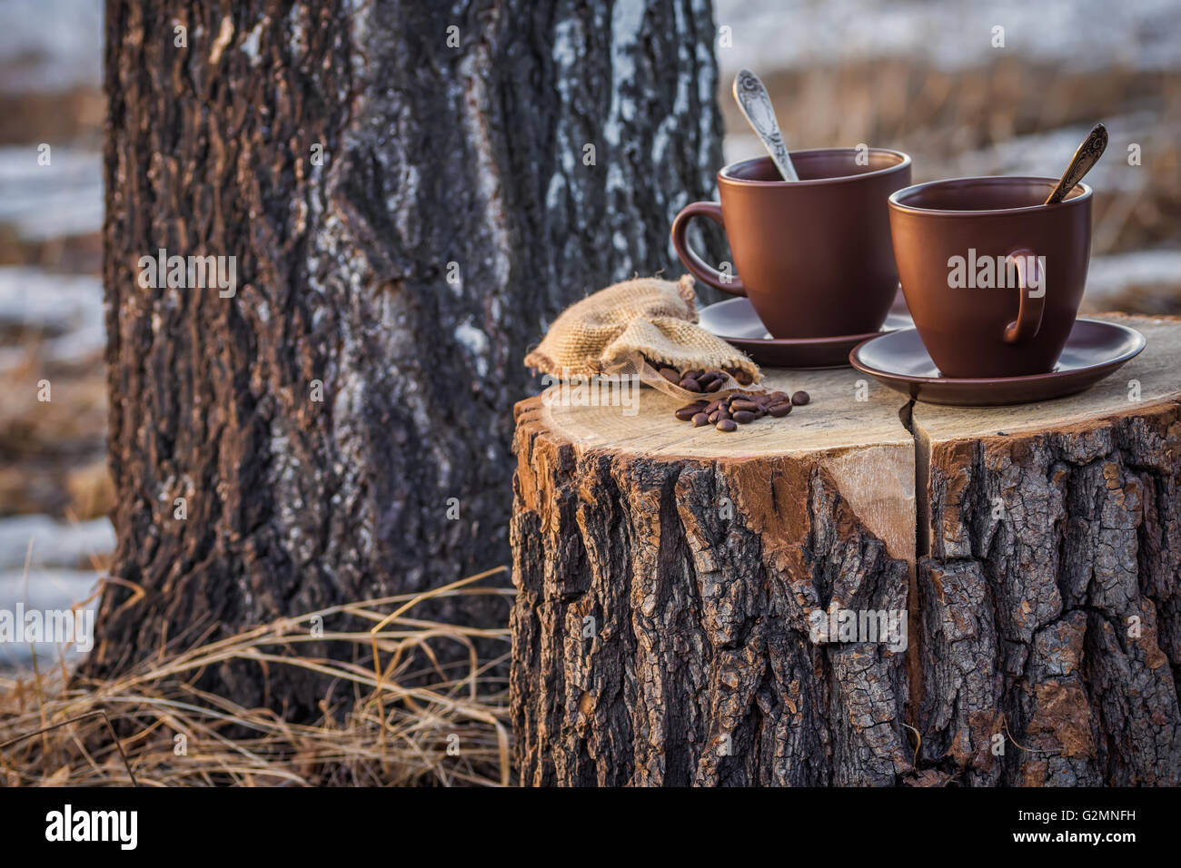Two cups of coffee on stump on background of a winter landscape Stock ...