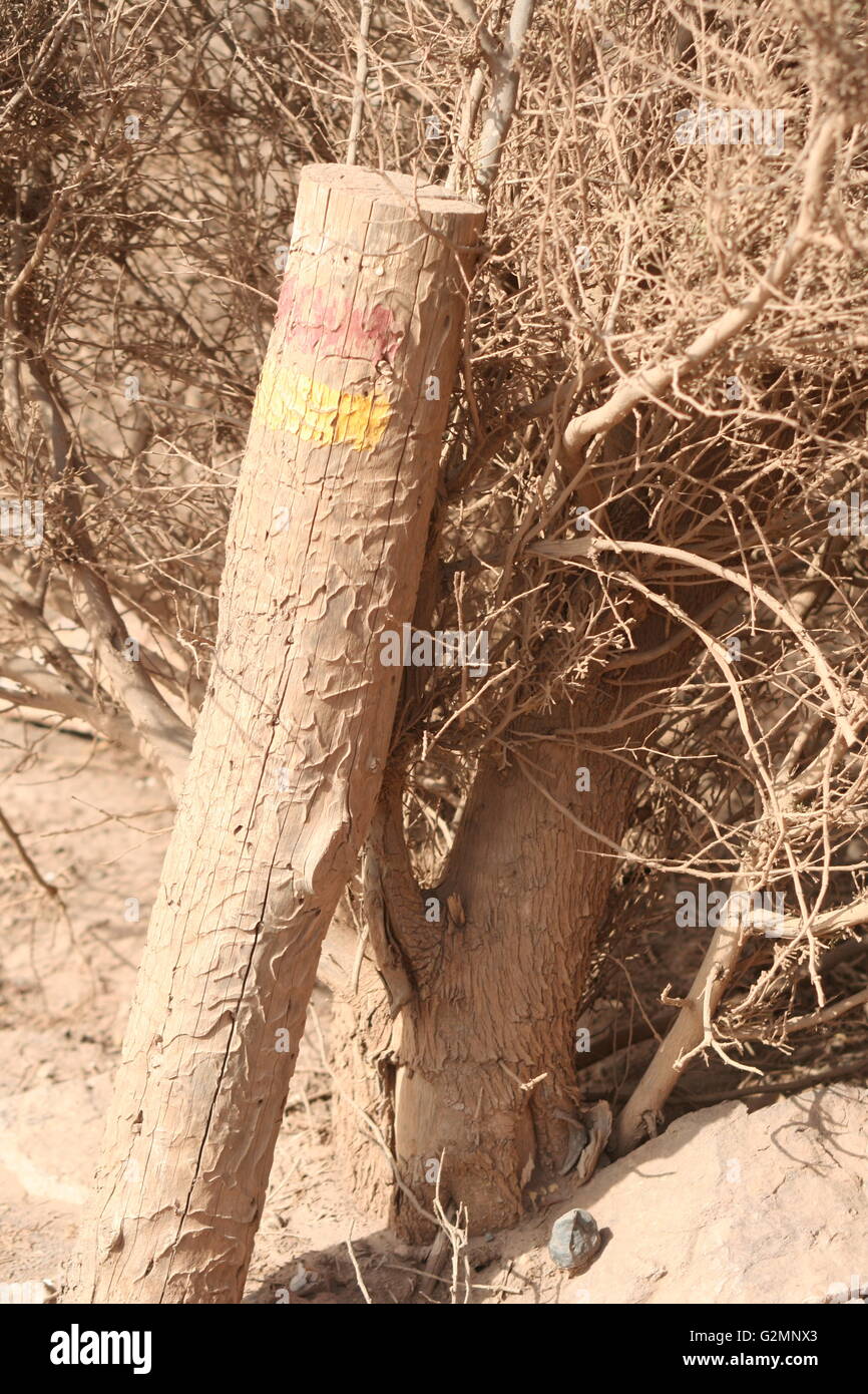 A fallen down post, propped up against a tree, with hiking trail ...