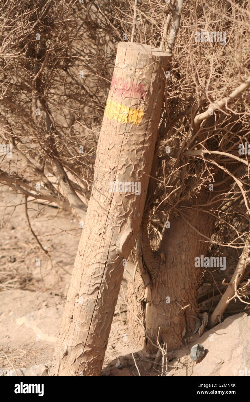 A fallen down post, propped up against a tree, with hiking trail ...