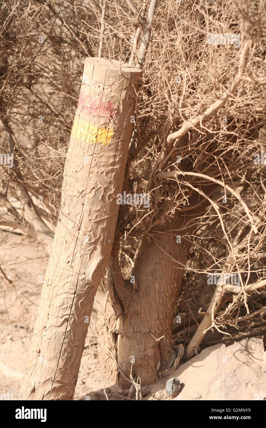 A fallen down post, propped up against a tree, with hiking trail ...
