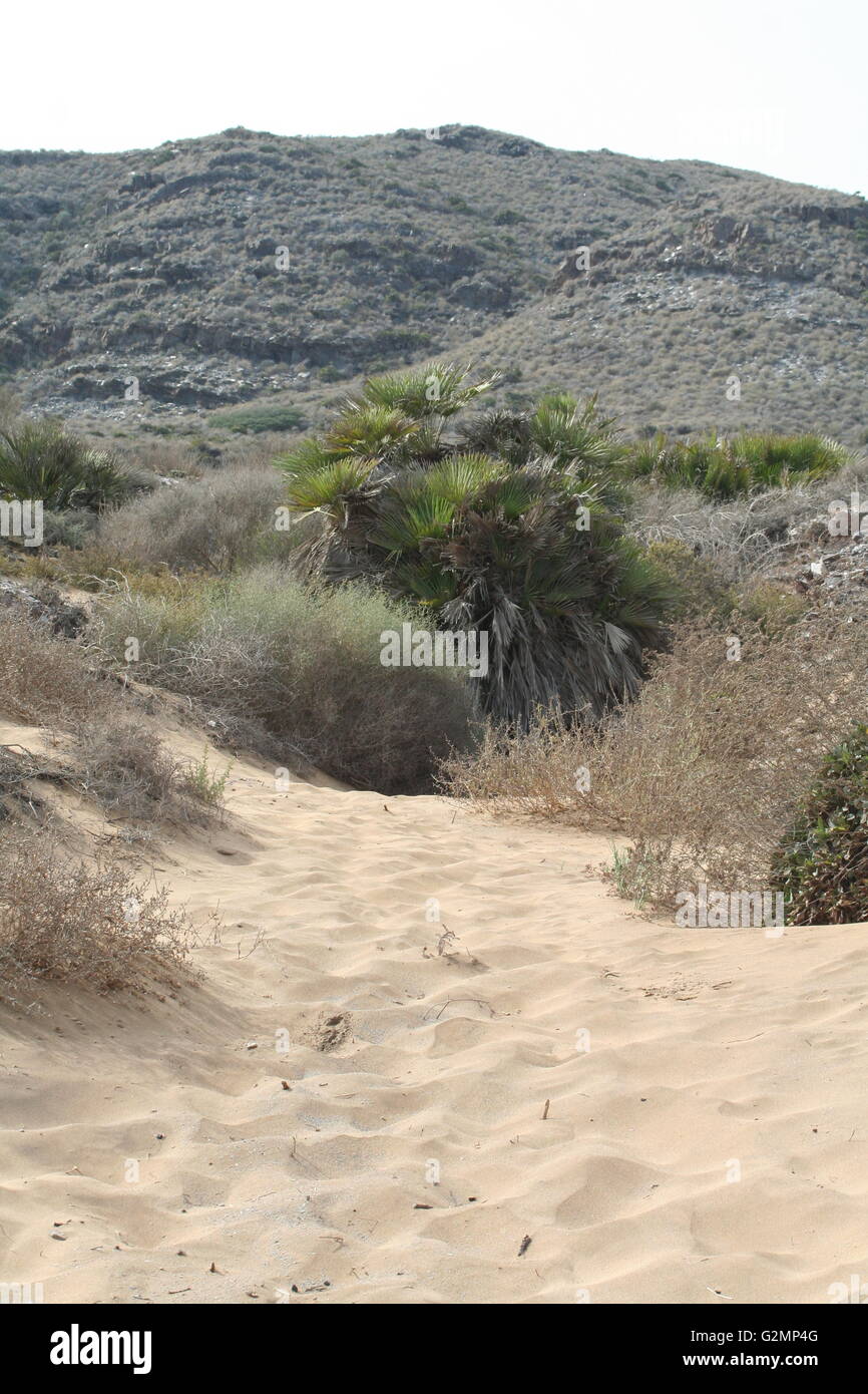 A sandy path leading to the mountains Stock Photo - Alamy