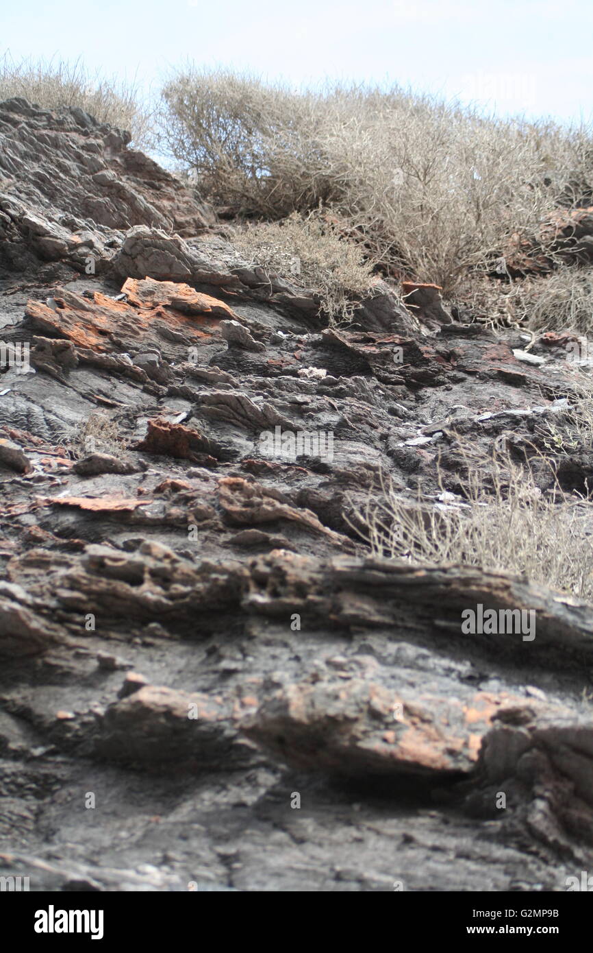Slate rocks in nature reserve Stock Photo - Alamy