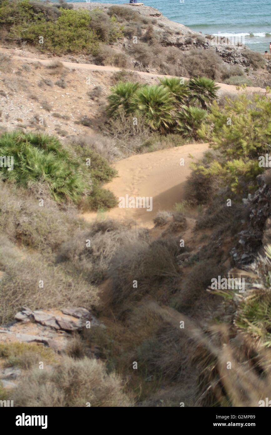 A sandy path in nature Stock Photo - Alamy