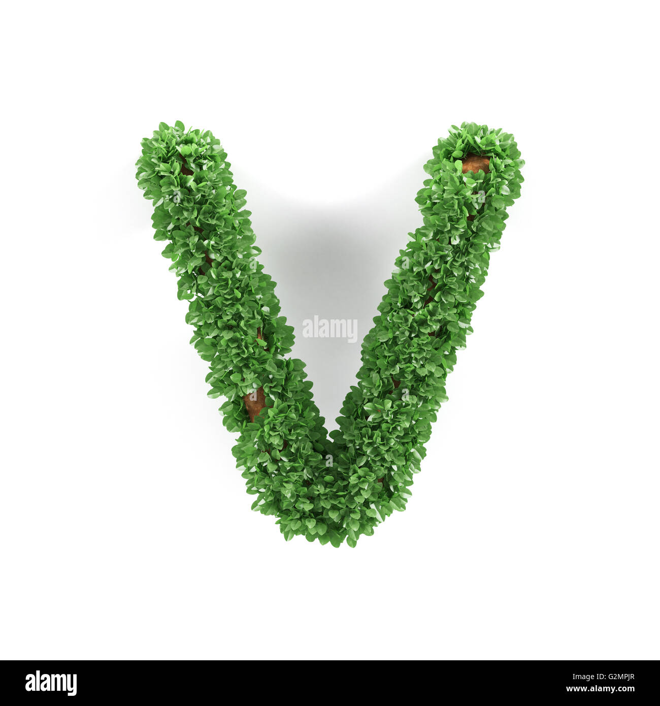 Floral font letter v hi-res stock photography and images - Alamy