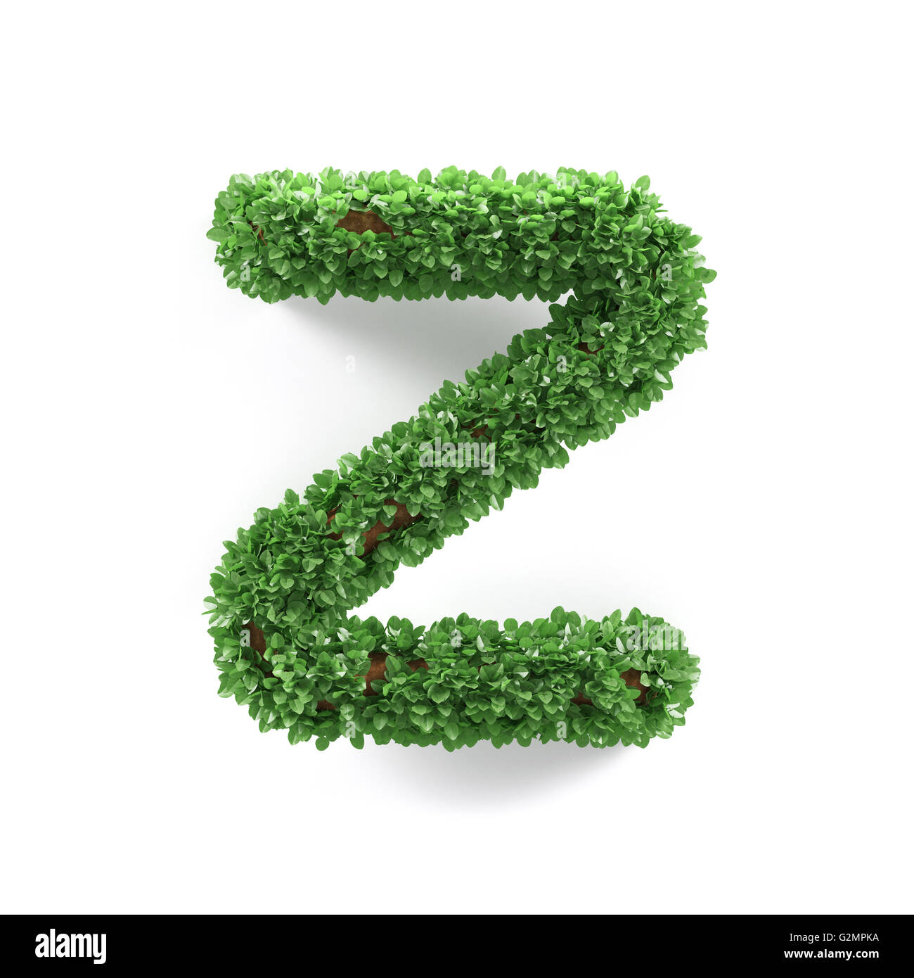 Floral font letter z hi-res stock photography and images - Alamy