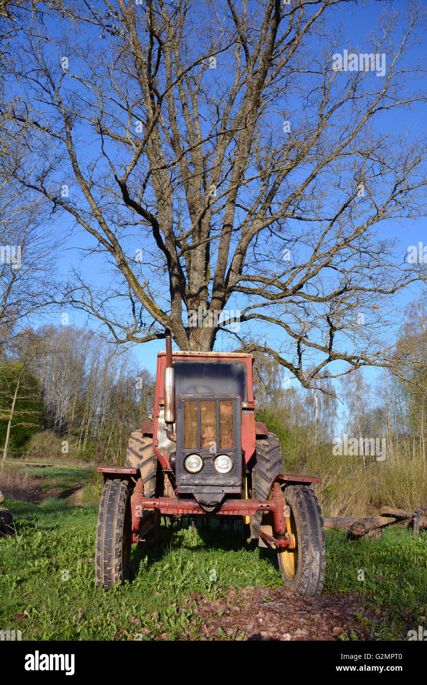 old used retro agriculture tractor in farm and big oak Stock Photo - Alamy