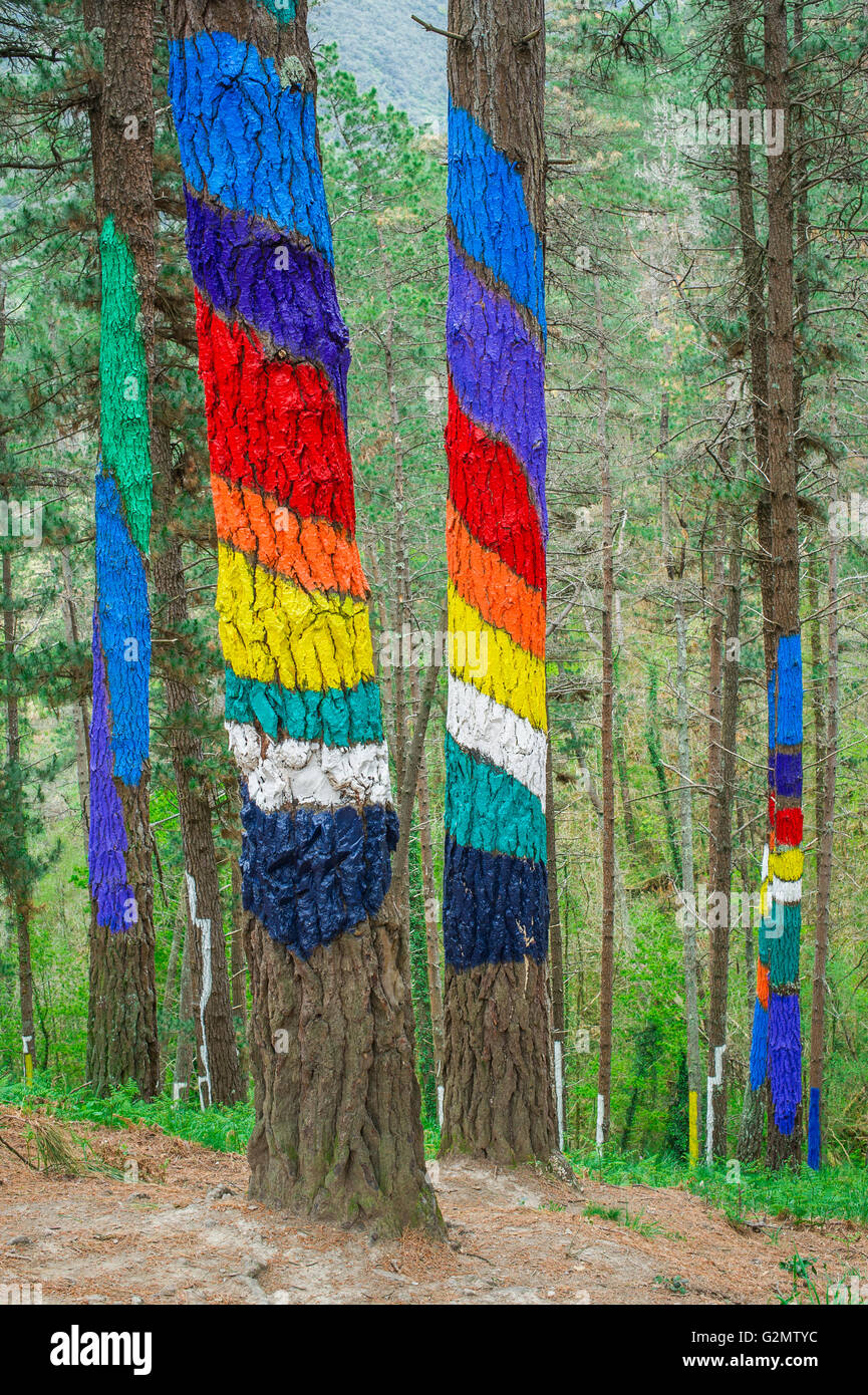 Painted tree trunks, painted wood, El Bosque animado de Oma, artist ...