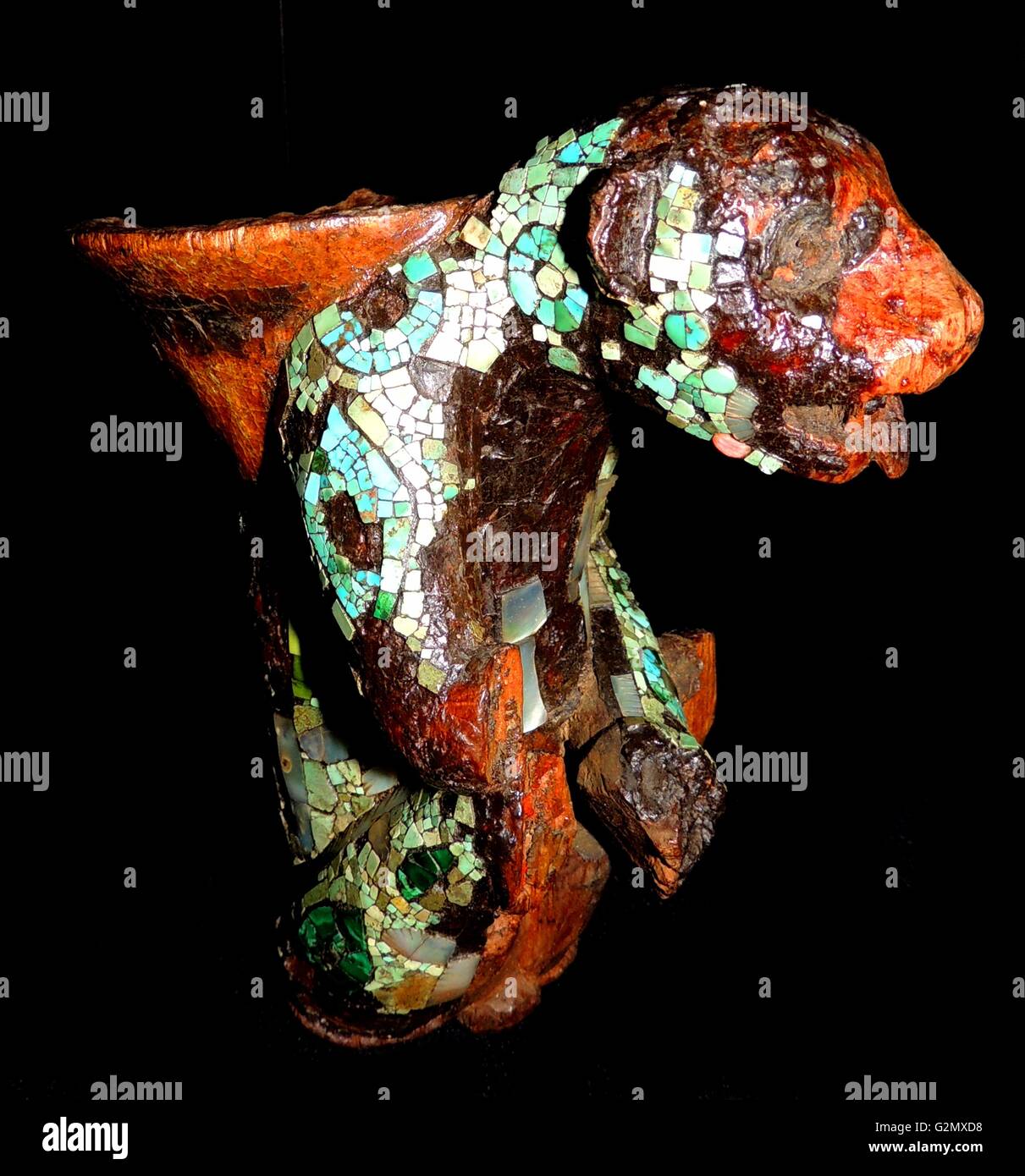 D shell hi-res stock photography and images - Alamy