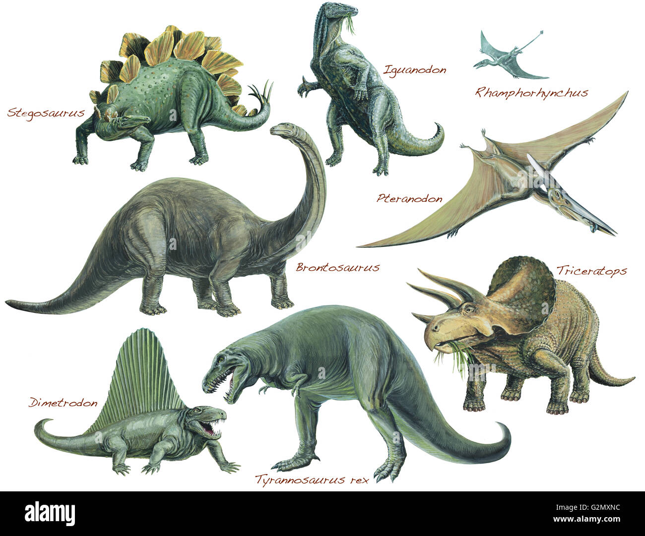 Prehistoric animals hi-res stock photography and images - Alamy